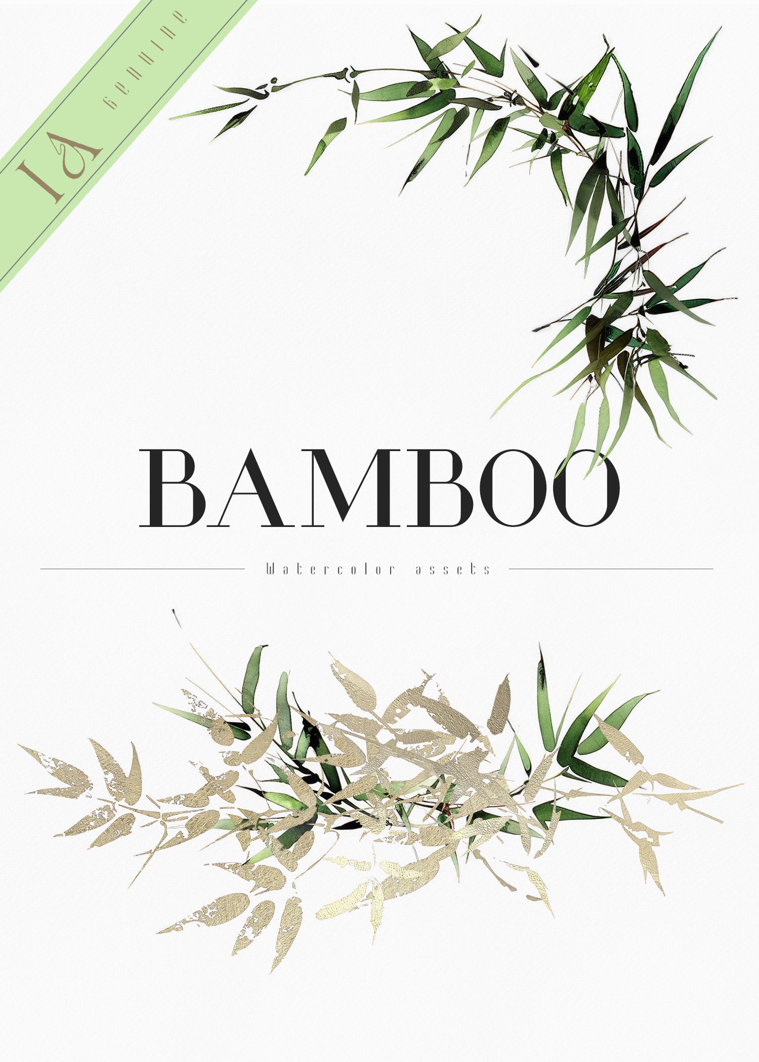 Watercolor Bamboo Clipart Set, Seamless Patterns (digital Download) - Etsy
