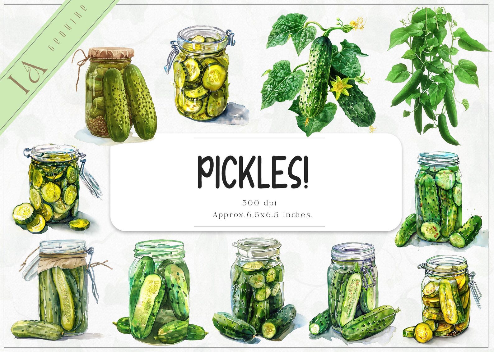 Pickle Clipart Set | Dill Cucumber PNG, Seamless Textures (digital ...