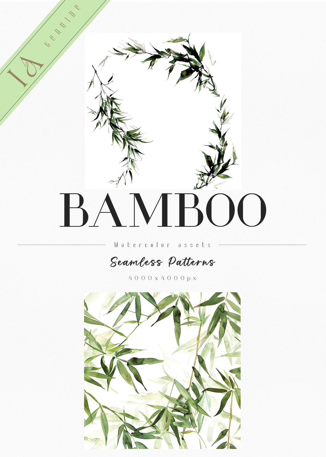 Watercolor Bamboo Clipart Set, Seamless Bamboo Patterns, Bamboo Png's ...