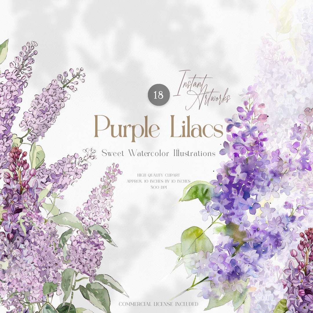 Watercolor Lilacs Clipart - Watercolor Lilacs - Lilac Bouquets - Lilac ...
