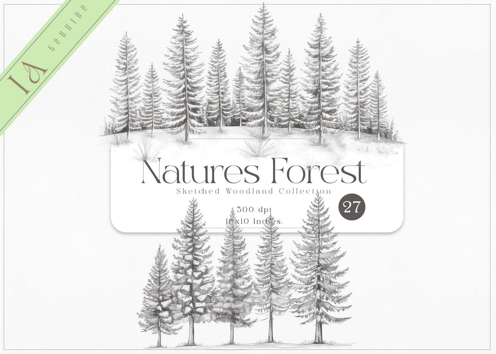 Sketch Style Woodland Collection, Cottagecore, Woodland Clipart ...