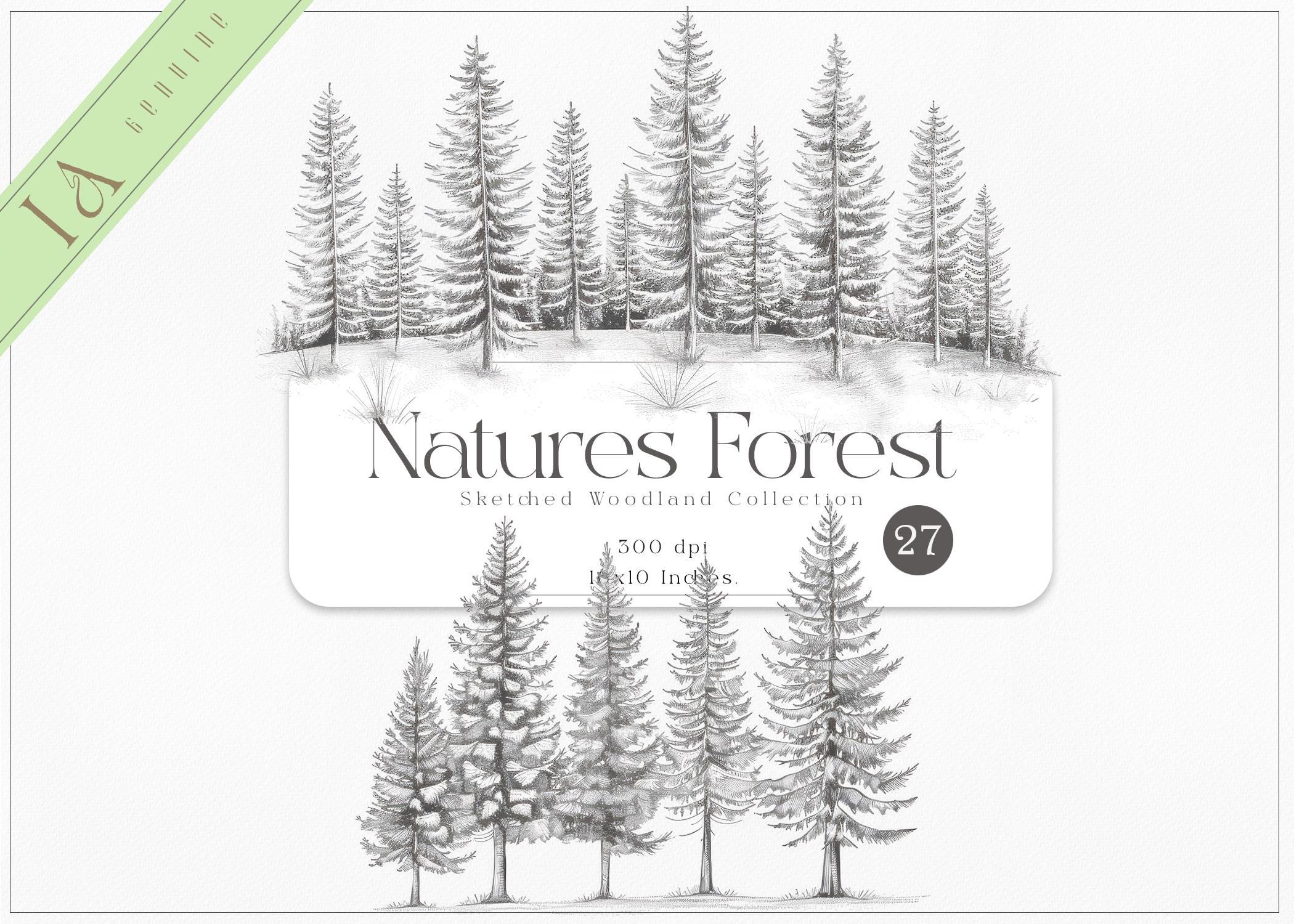 Sketch Style Woodland Collection, Cottagecore, Woodland Clipart ...