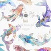 Koi Fish Clipart - Watercolor Japanese Carp Art, Tropical Fish Jpgs ...