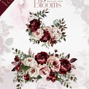 Watercolor Burgundy Blush Florals, Burgundy Flowers, Blush Flower ...