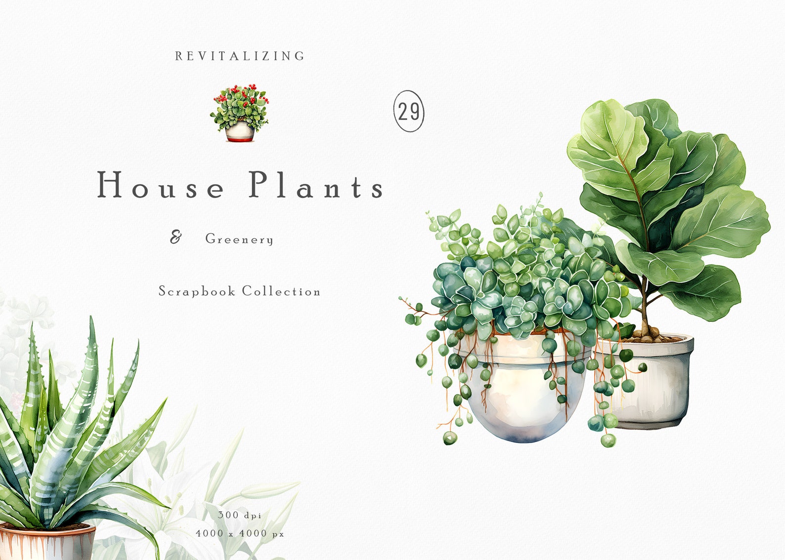 Watercolor Potted Plants Clipart - House Plant PNG Instant Download for ...
