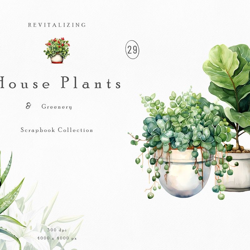 Plant Clip Art - Etsy