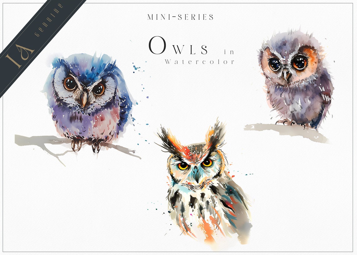 Watercolor Owl Clipart Woodland Clipart Owl Clipart Animal Clipart Bird ...
