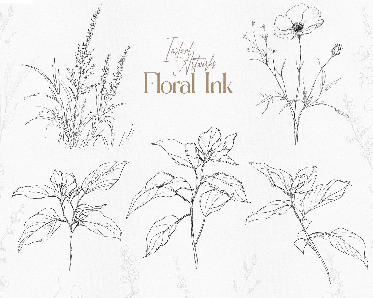 Floral Line Art Clipart – Minimalist Botanical PNG Bundle (digital ...