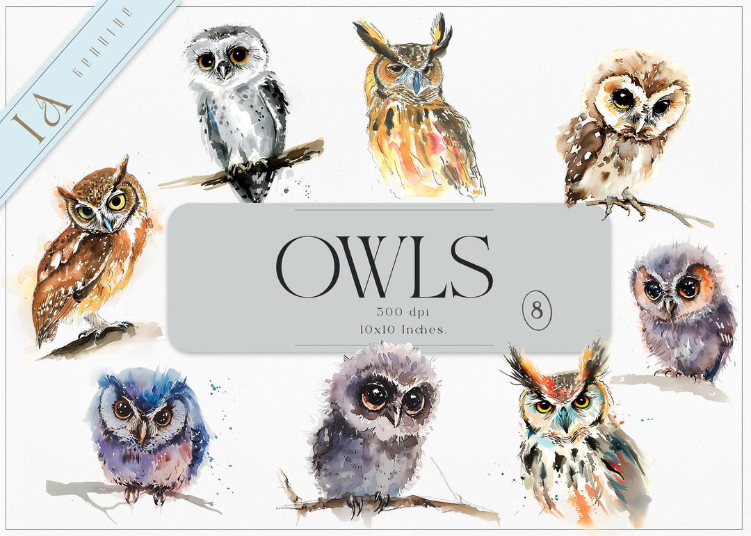 Watercolor Owl Clipart - Woodland Clipart - Owl Clipart - Animal ...