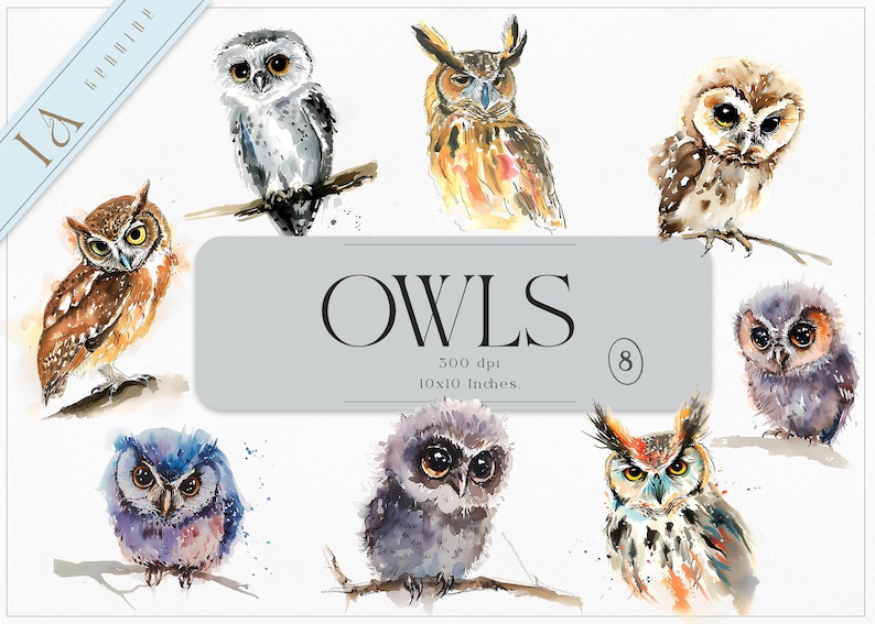 Watercolor Owl Clipart – Spring Woodland Animal PNG (commercial Use) - Etsy