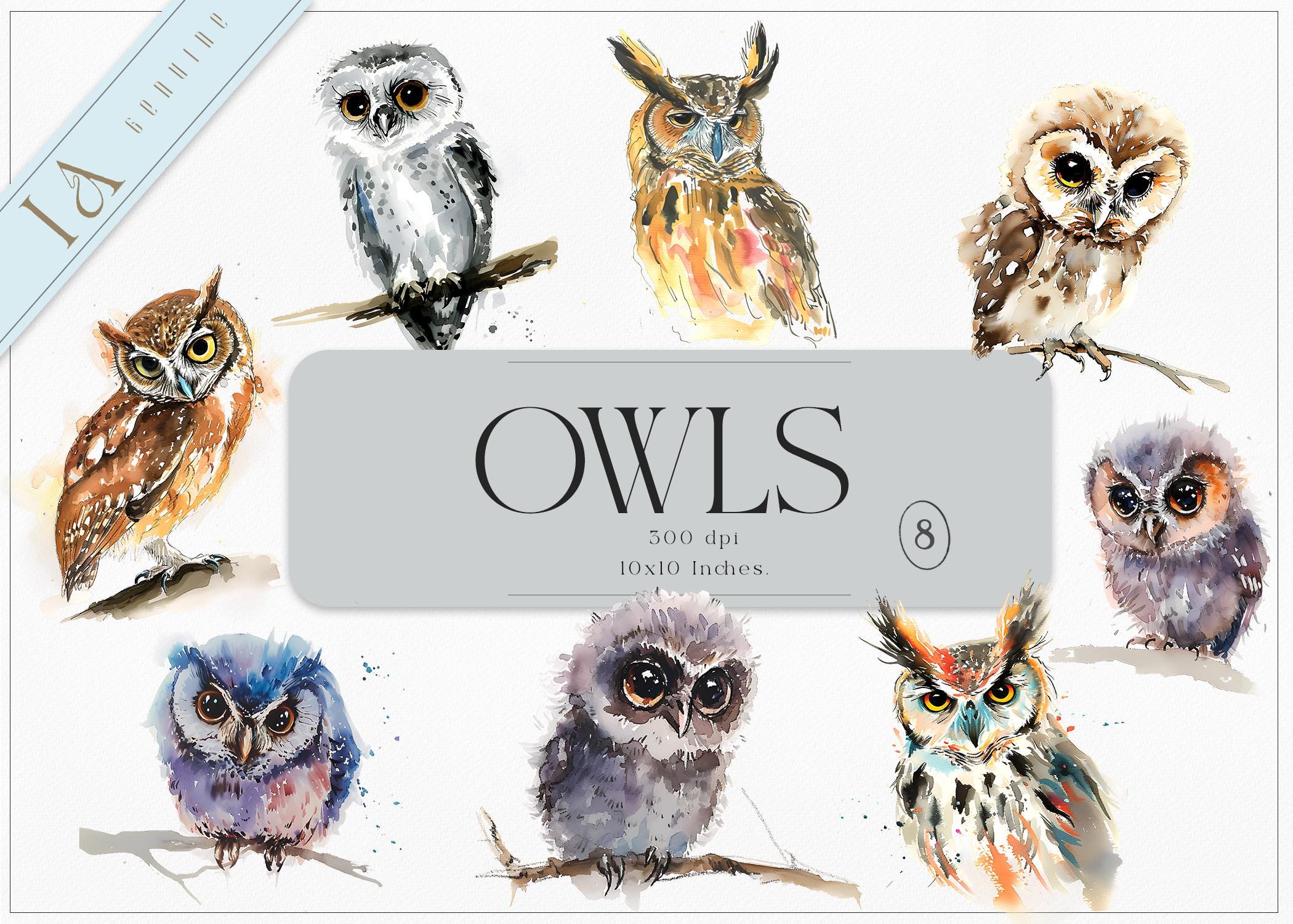 Watercolor Owl Clipart Woodland Clipart Owl Clipart Animal Clipart Bird ...