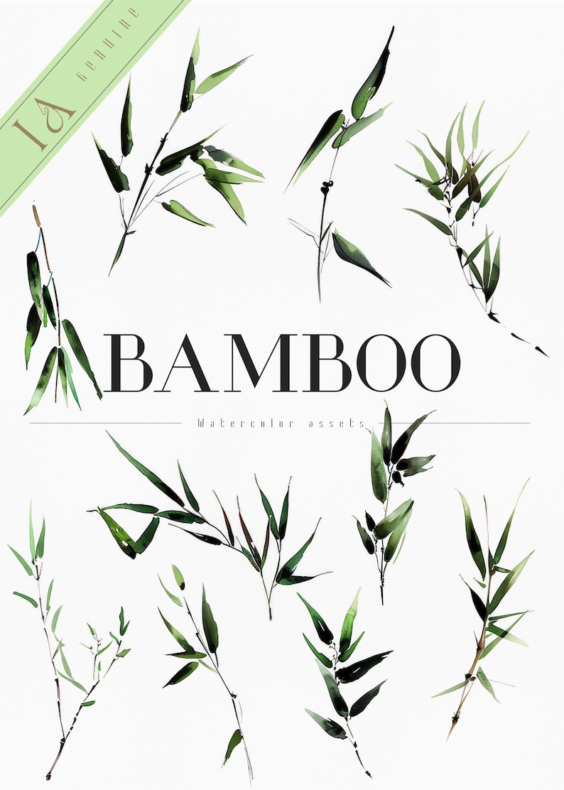 Watercolor Bamboo Clipart Set, Seamless Bamboo Patterns, Bamboo Png's ...