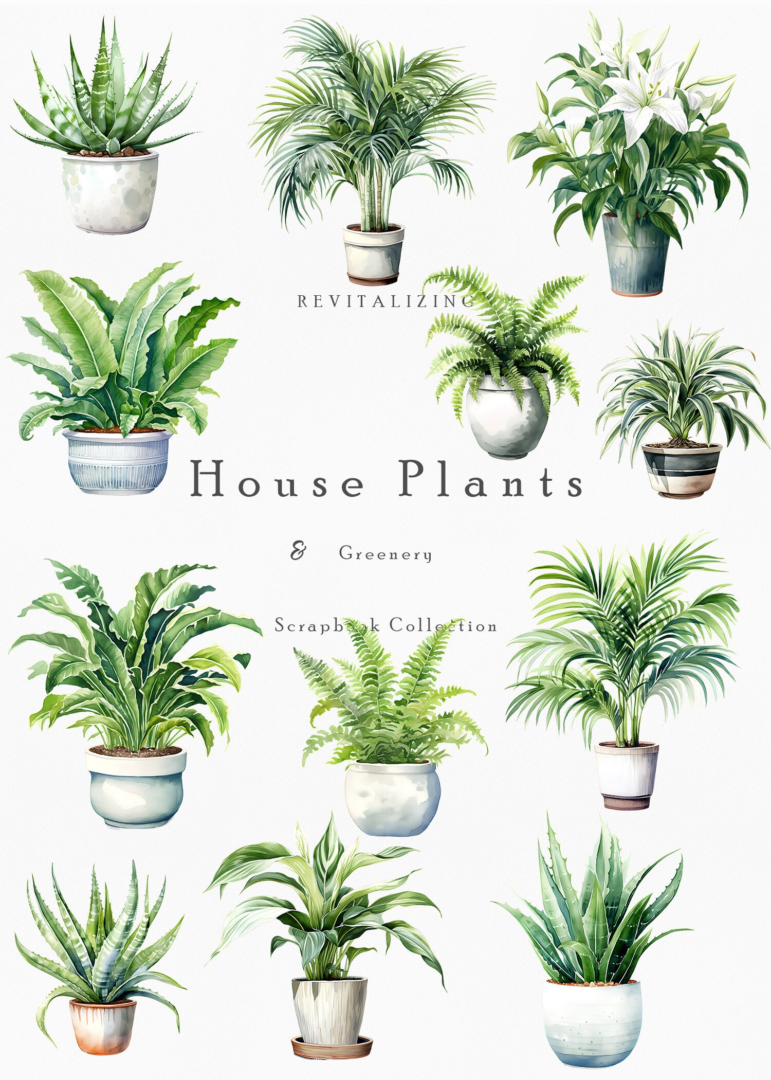 Watercolor Potted Plants Clipart - House Plant PNG Instant Download for ...