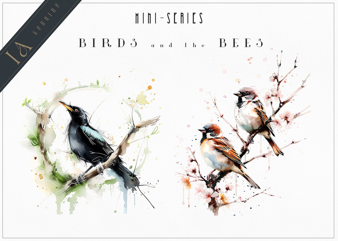 Watercolor Birds Clipart, Watercolor Bees Clipart, 15 Pngs With ...