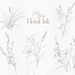 Floral Line Art Clipart - Botanical PNG Bundle - Minimalist Botanical ...