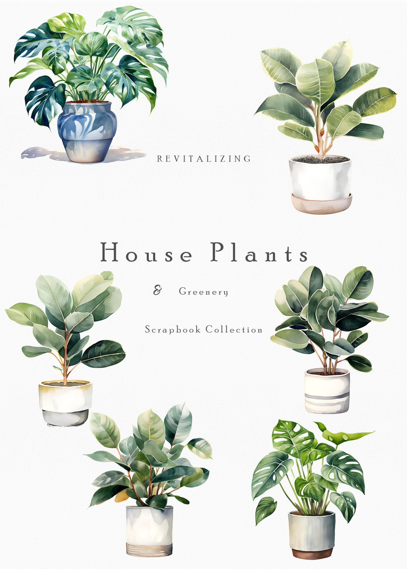 Watercolor Potted Plants Clipart - House Plant PNG Instant Download for ...