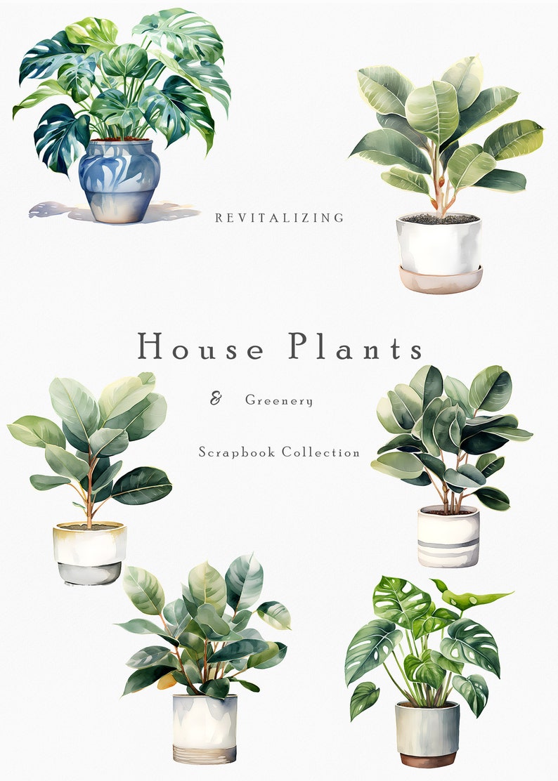Watercolor Potted Plants Clipart - House Plant PNG Instant Download for ...