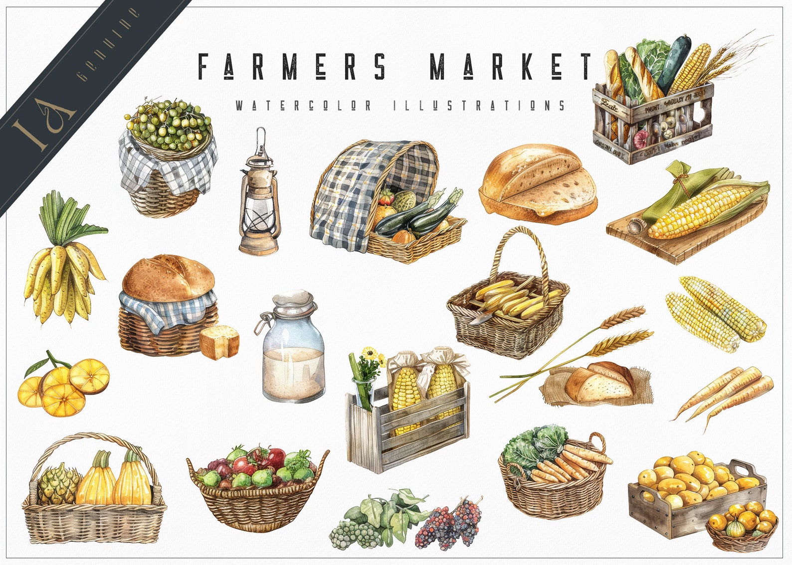 Watercolor Farm Clipart, Farmers Market Clipart, Watercolor Food Art ...