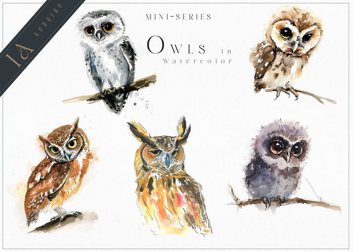 Watercolor Owl Clipart Woodland Clipart Owl Clipart Animal Clipart Bird ...
