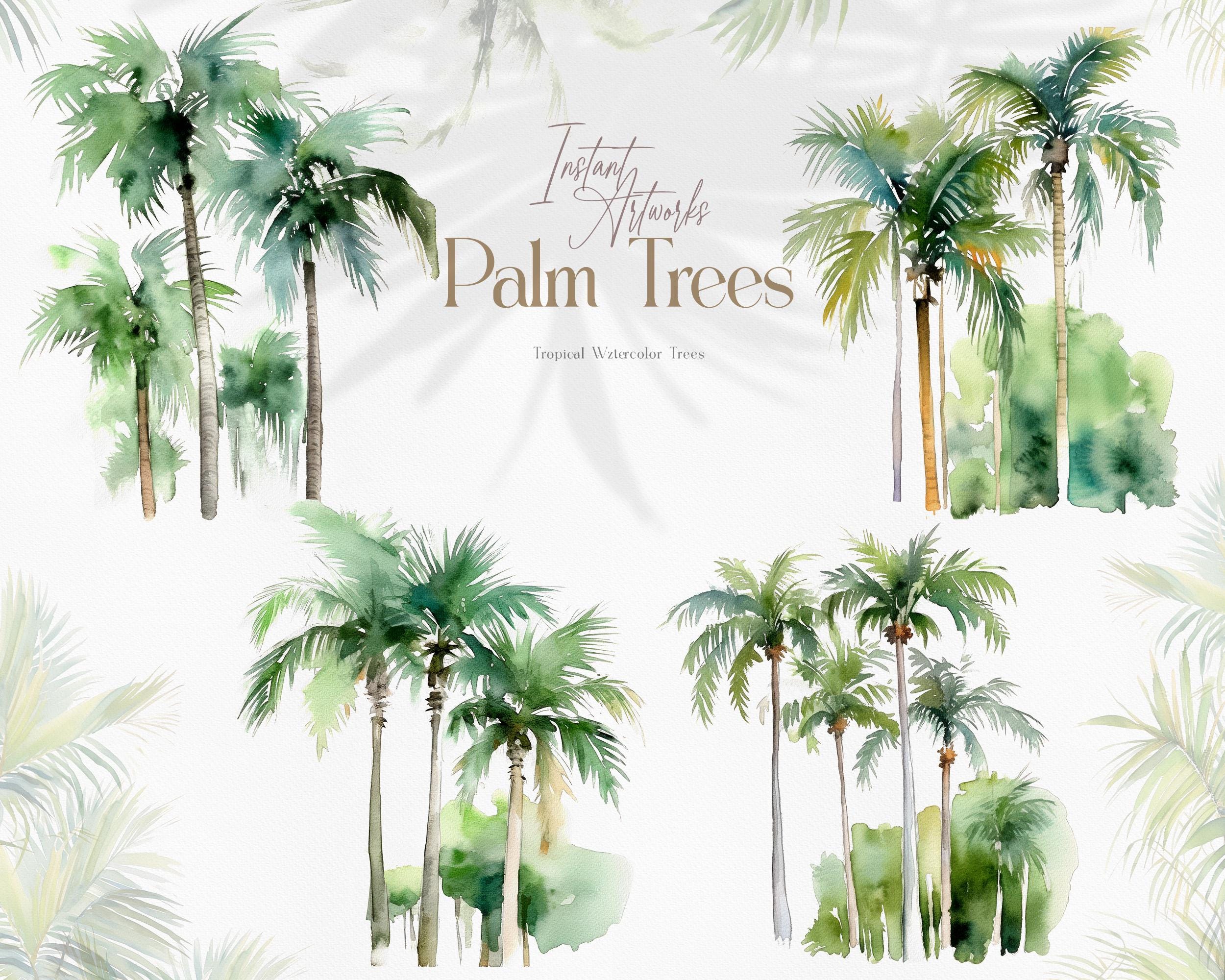 Watercolor Palm Trees PNG Clipart | Tropical Palm Tree PNG | Boho ...