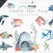 Under the Sea Watercolor Clipart Ocean Dive Clipart Underwater Clipart ...