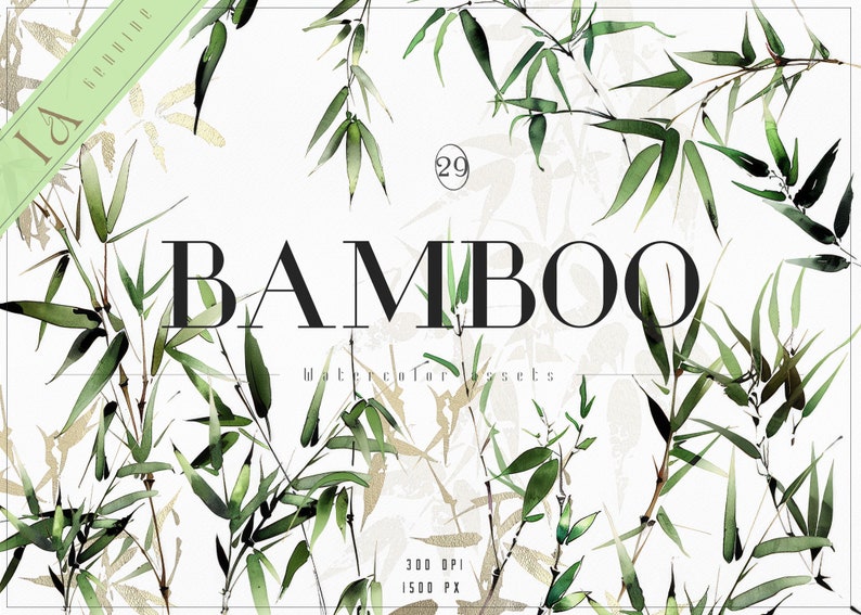 Watercolor Bamboo Clipart Set, Seamless Bamboo Patterns, Bamboo Png's ...