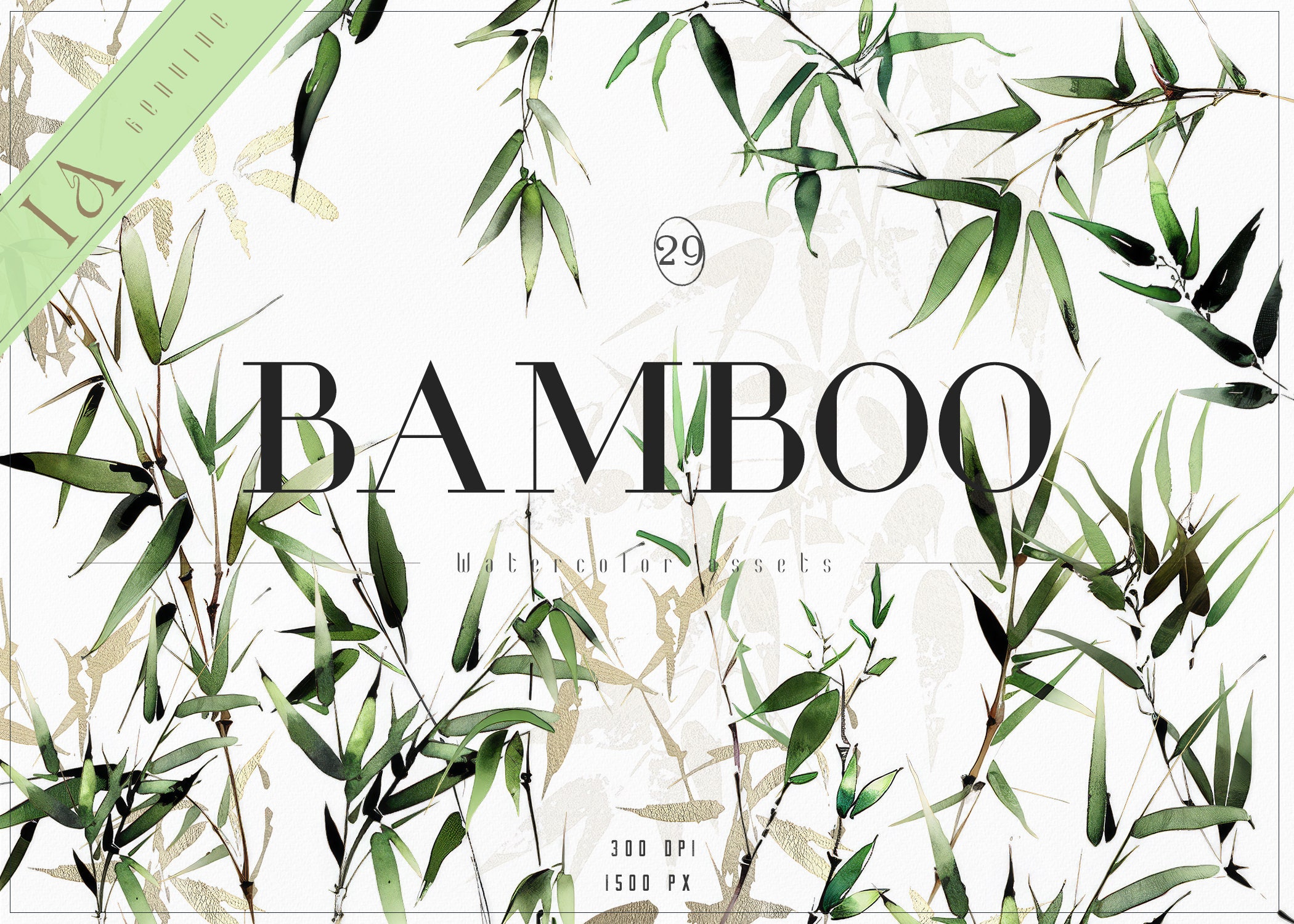 Watercolor Bamboo Clipart Set, Seamless Bamboo Patterns, Bamboo Png's ...