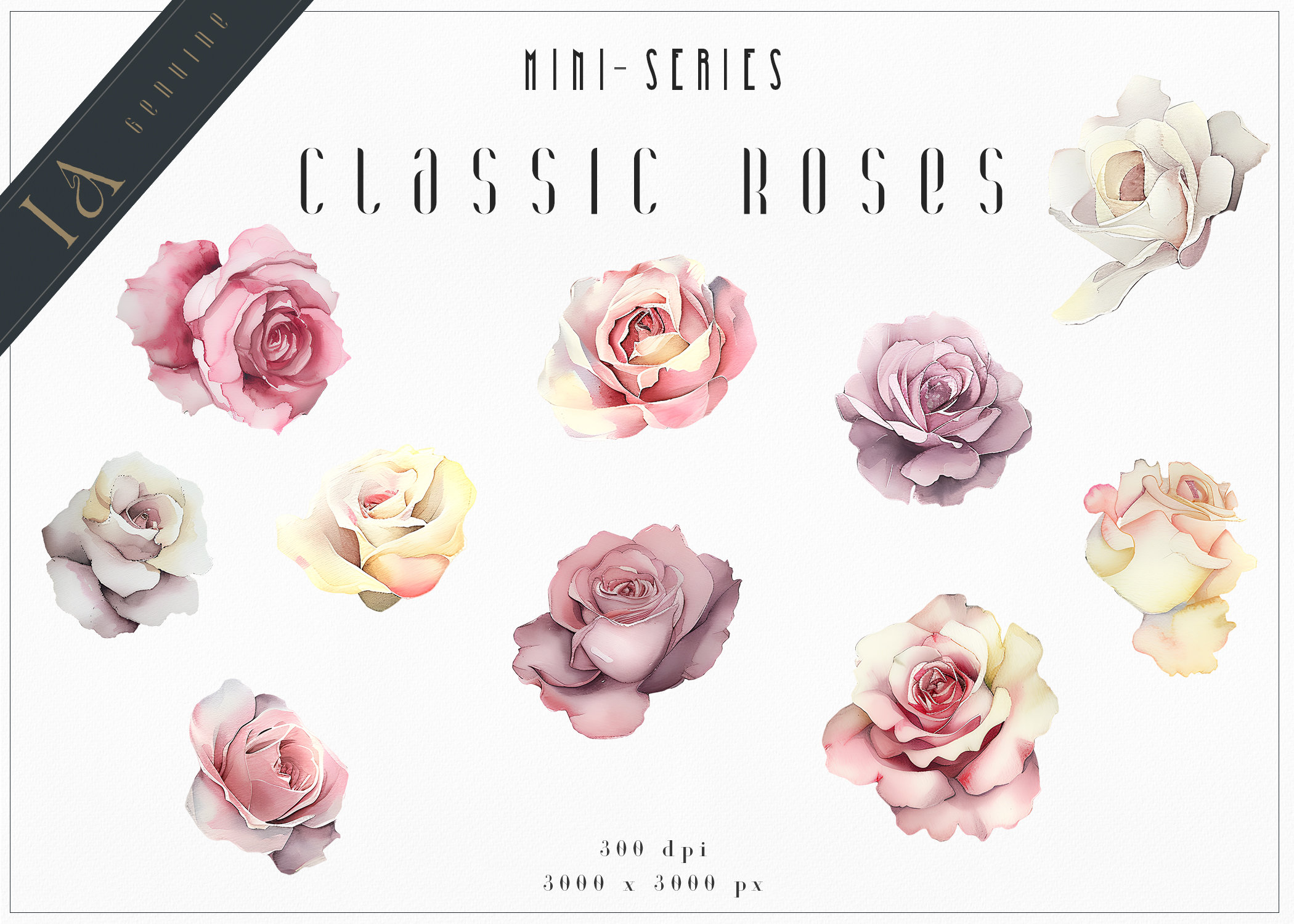 Classic Rose Floral Clipart Watercolor Roses Roses Clipart Pink Rose ...