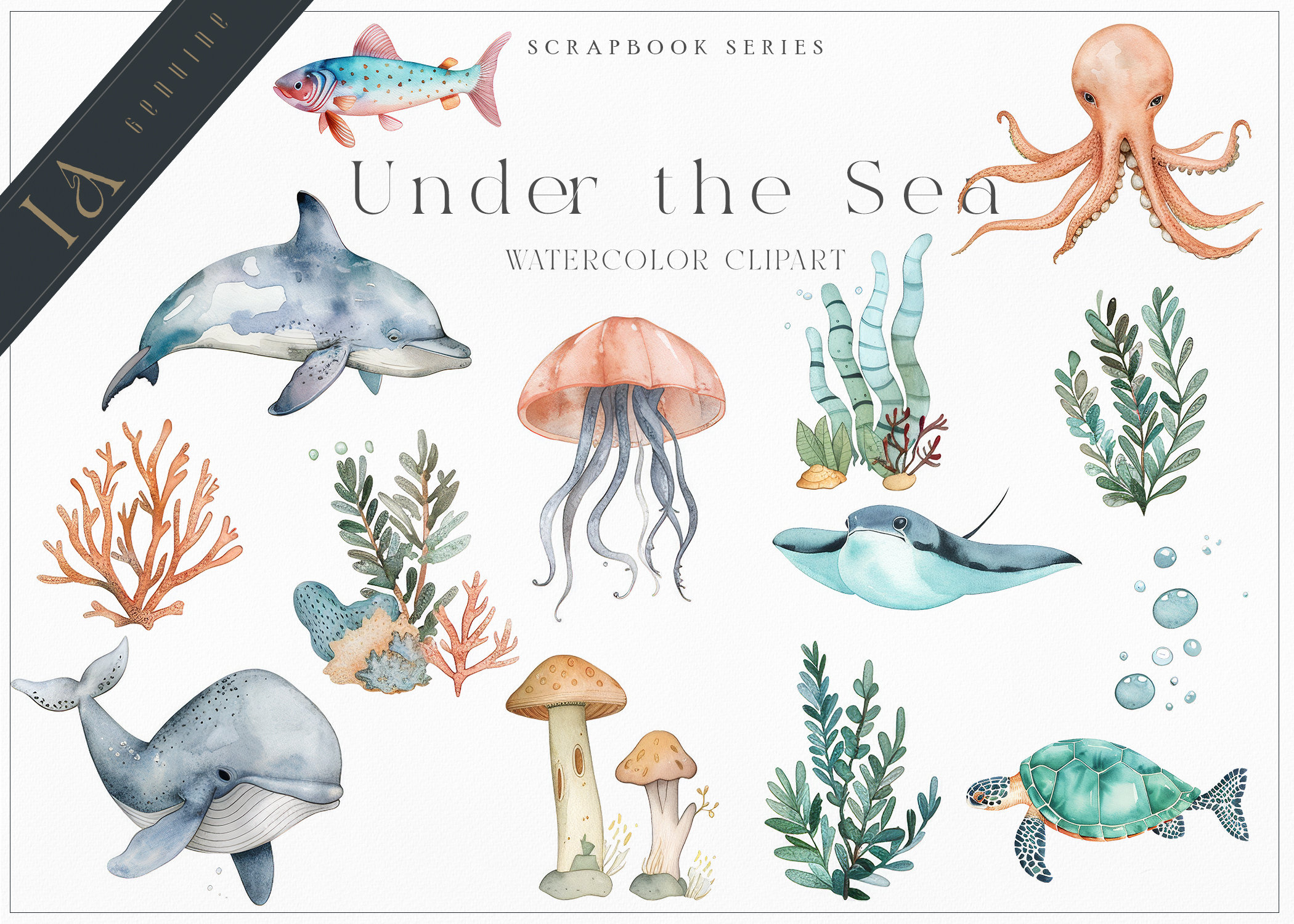 Under the Sea Watercolor Clipart Ocean Dive Clipart Underwater Clipart ...