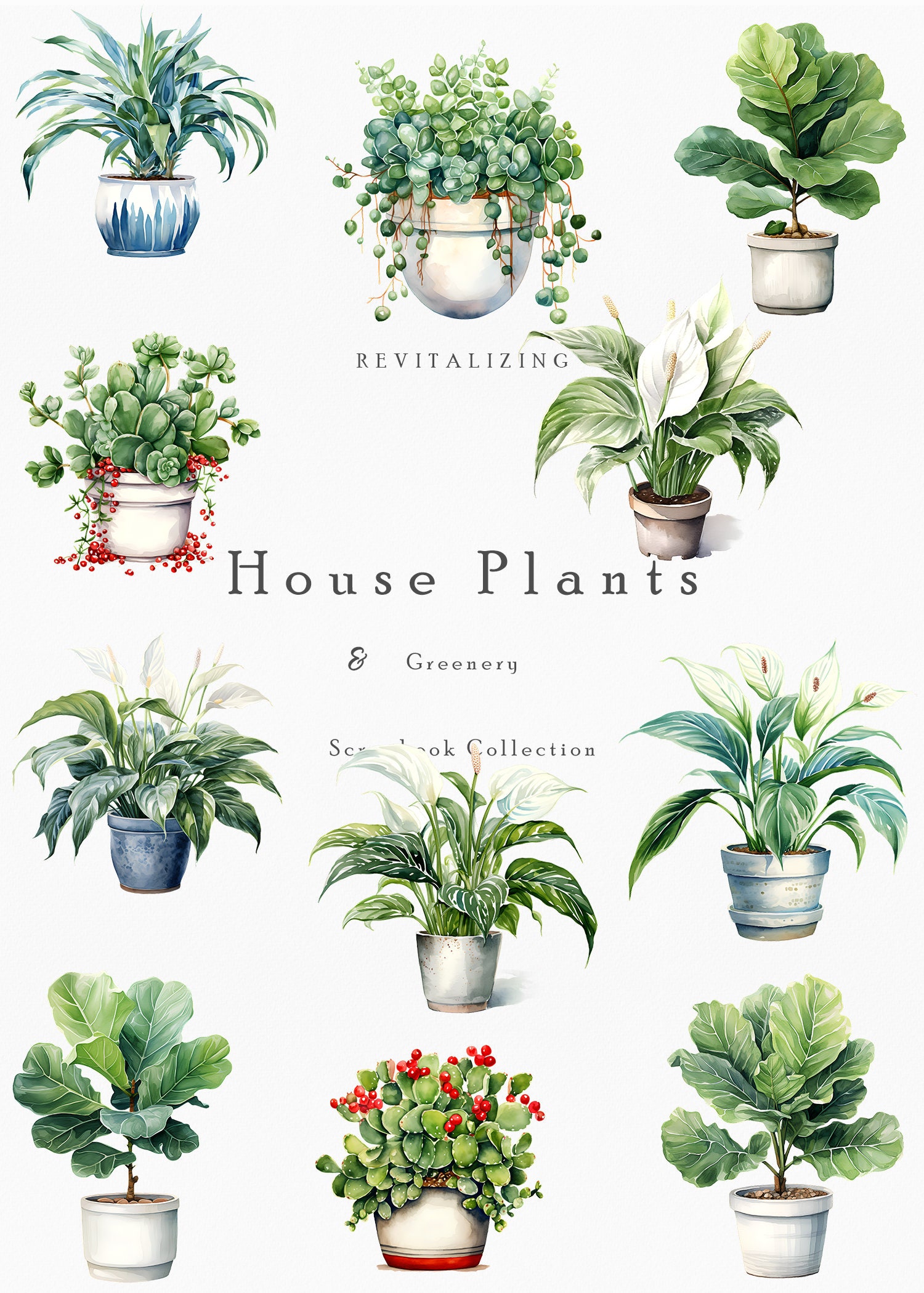 Watercolor Potted Plants Clipart - House Plant PNG Instant Download for ...