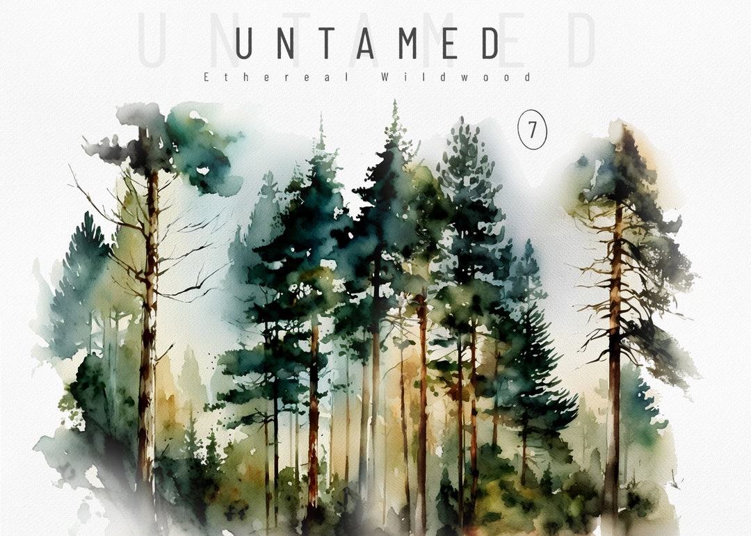 Forest Watercolor Clipart, Watercolor Backgrounds, Digital Papers ...