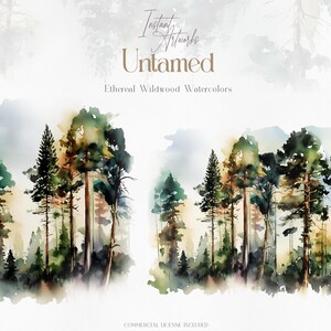 Watercolor Forest Clipart Bundle, Pine Tree PNG, Woodland Trees ...