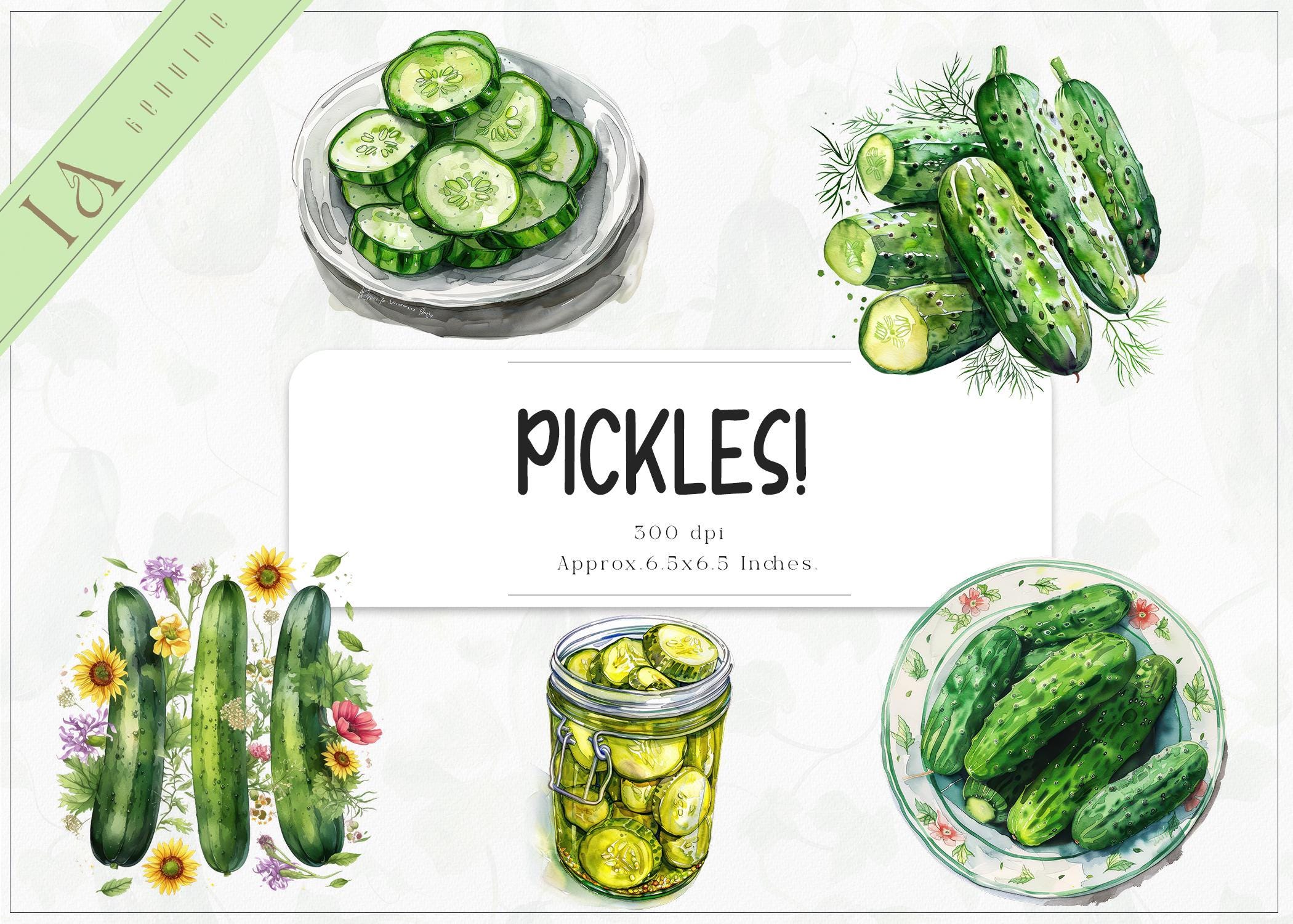 Pickle Clipart Set | Dill Cucumber PNG, Seamless Textures (digital ...