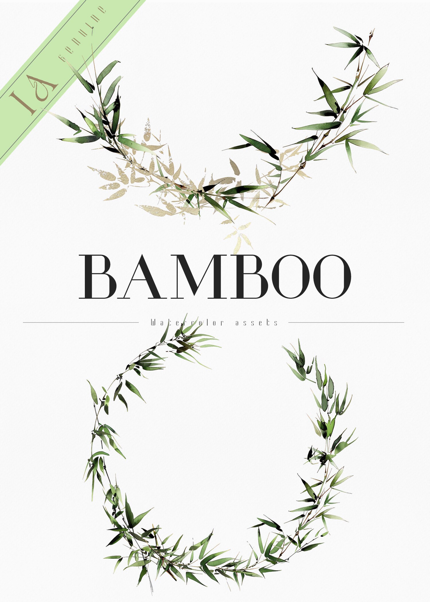 Watercolor Bamboo Clipart Set, Seamless Bamboo Patterns, Bamboo Png's ...