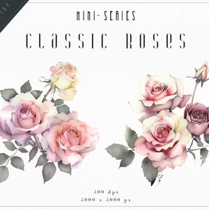 Classic Rose Floral Clipart - Watercolor Roses - Roses Clipart - Pink ...