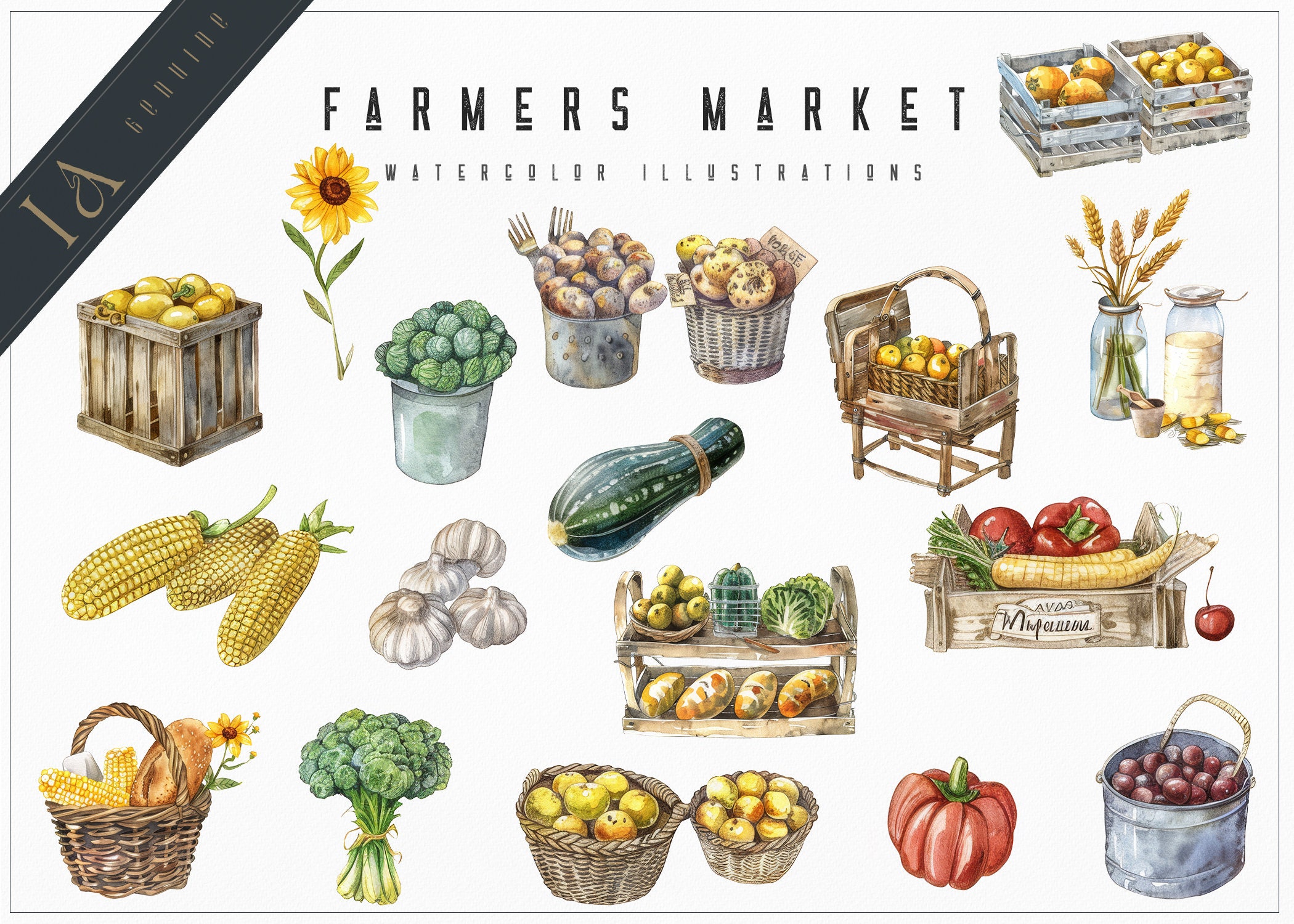 Watercolor Farm Clipart, Farmers Market Clipart, Watercolor Food Art ...