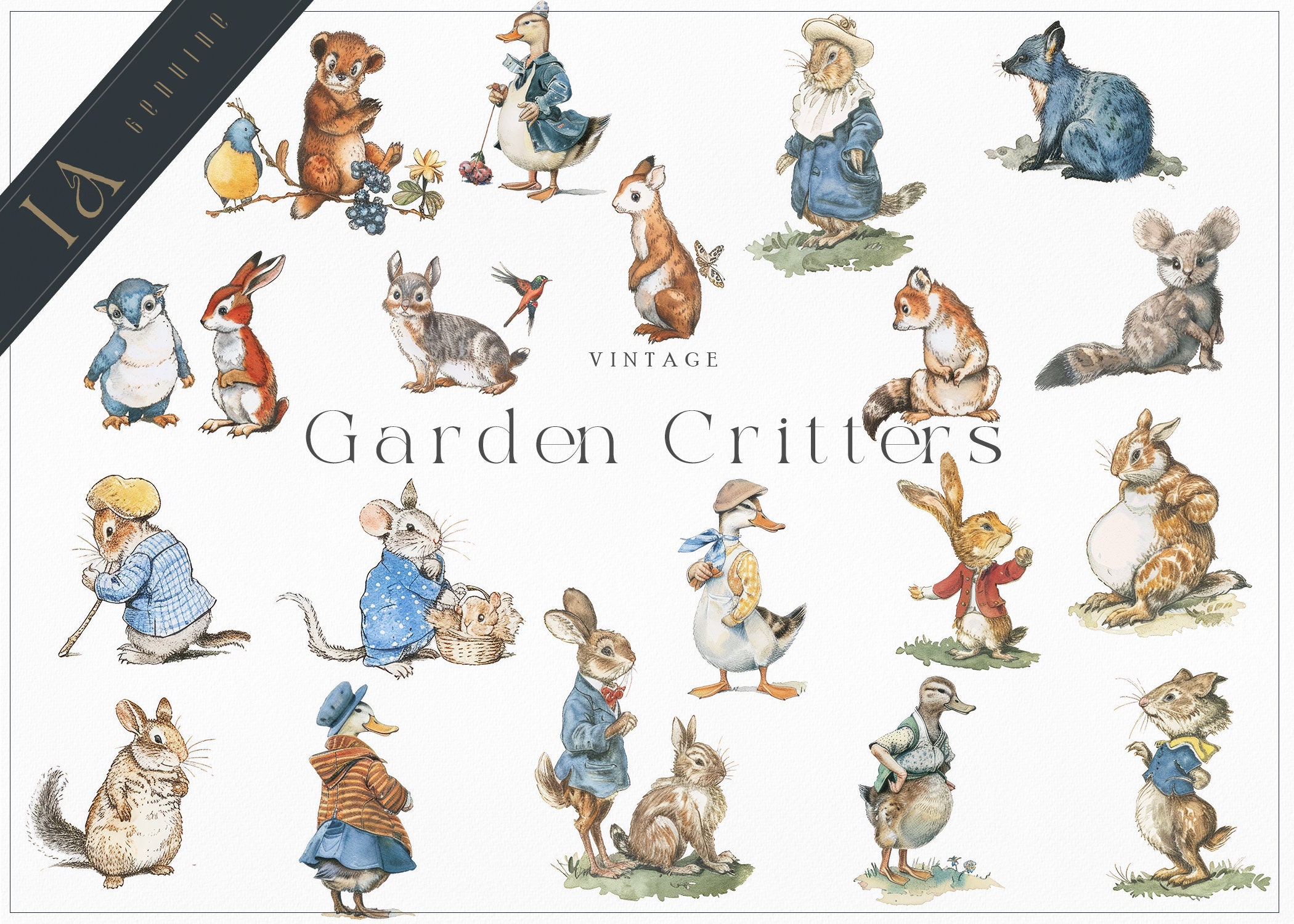 Watercolor Vintage Garden Critters Clipart, Woodland Animals (PNG) - Etsy