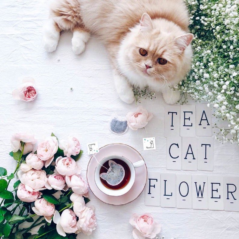 5 Cat Shaped Tea Bags for Bridal Shower Favors Tea Party or - Etsy UK