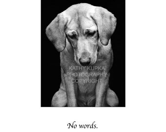 Sorry for Your Loss Card - Etsy