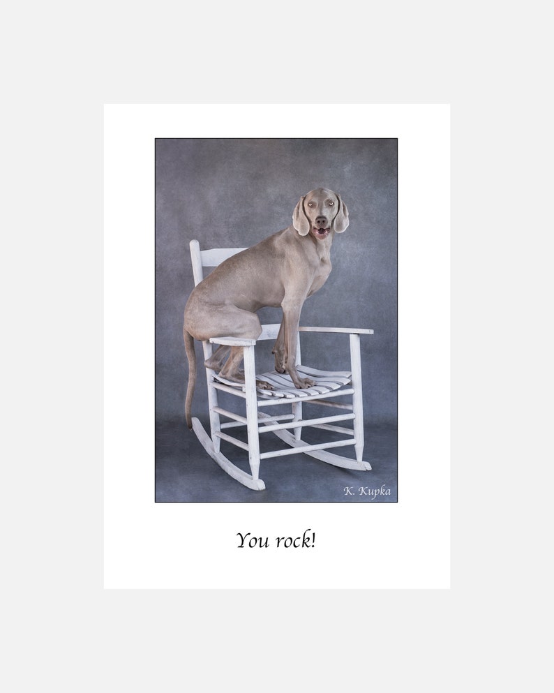 You Rock Card, Weimaraner, Thank You, Grateful, Love, Nurse Gift ...