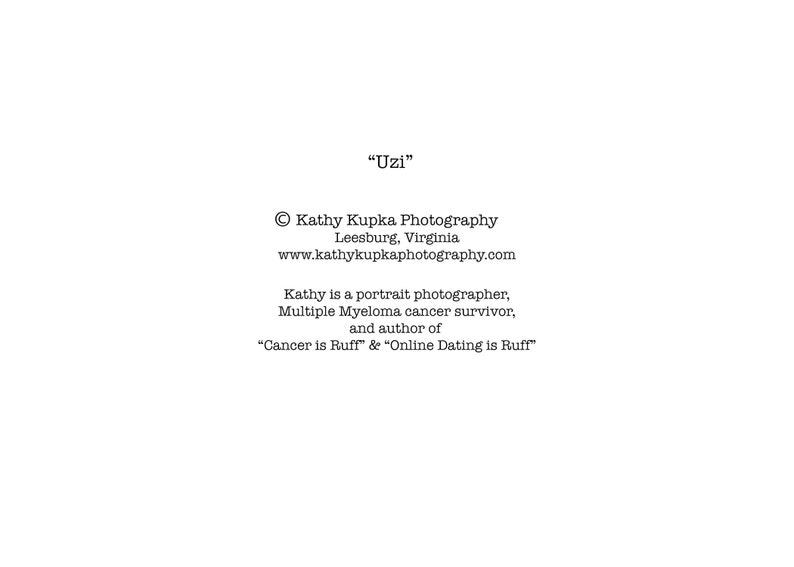 Graduation Card Congratulations Dancing Dogs Birthday - Etsy