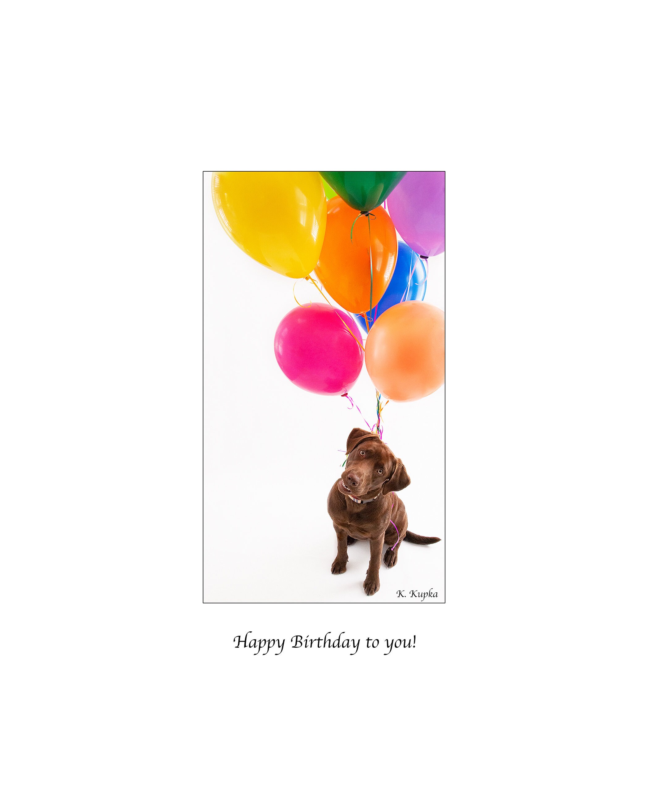 Funny Happy Birthday Labs