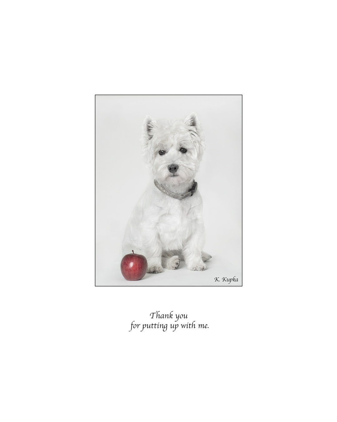 Teacher, Teacher Card, Teacher Gift, Teacher Appreciation, Westie ...
