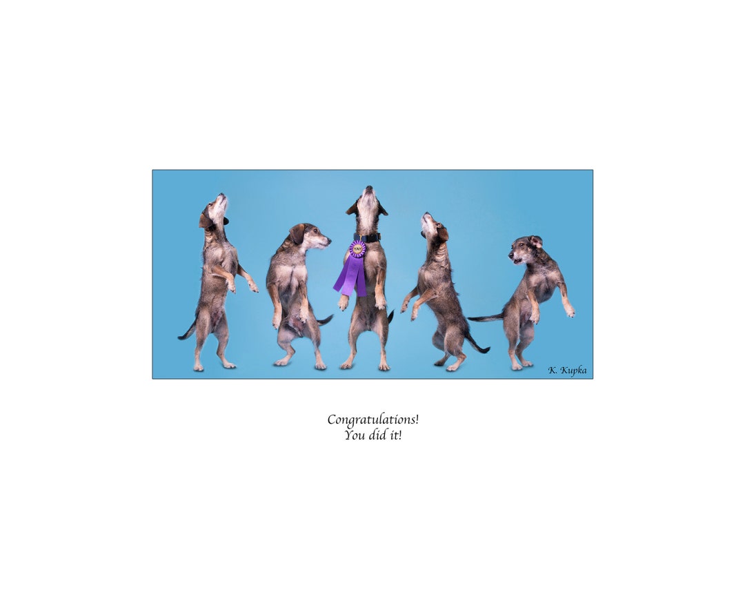 Congratulations, Graduation, Dancing Dogs, Birthday, Promotion, Success ...