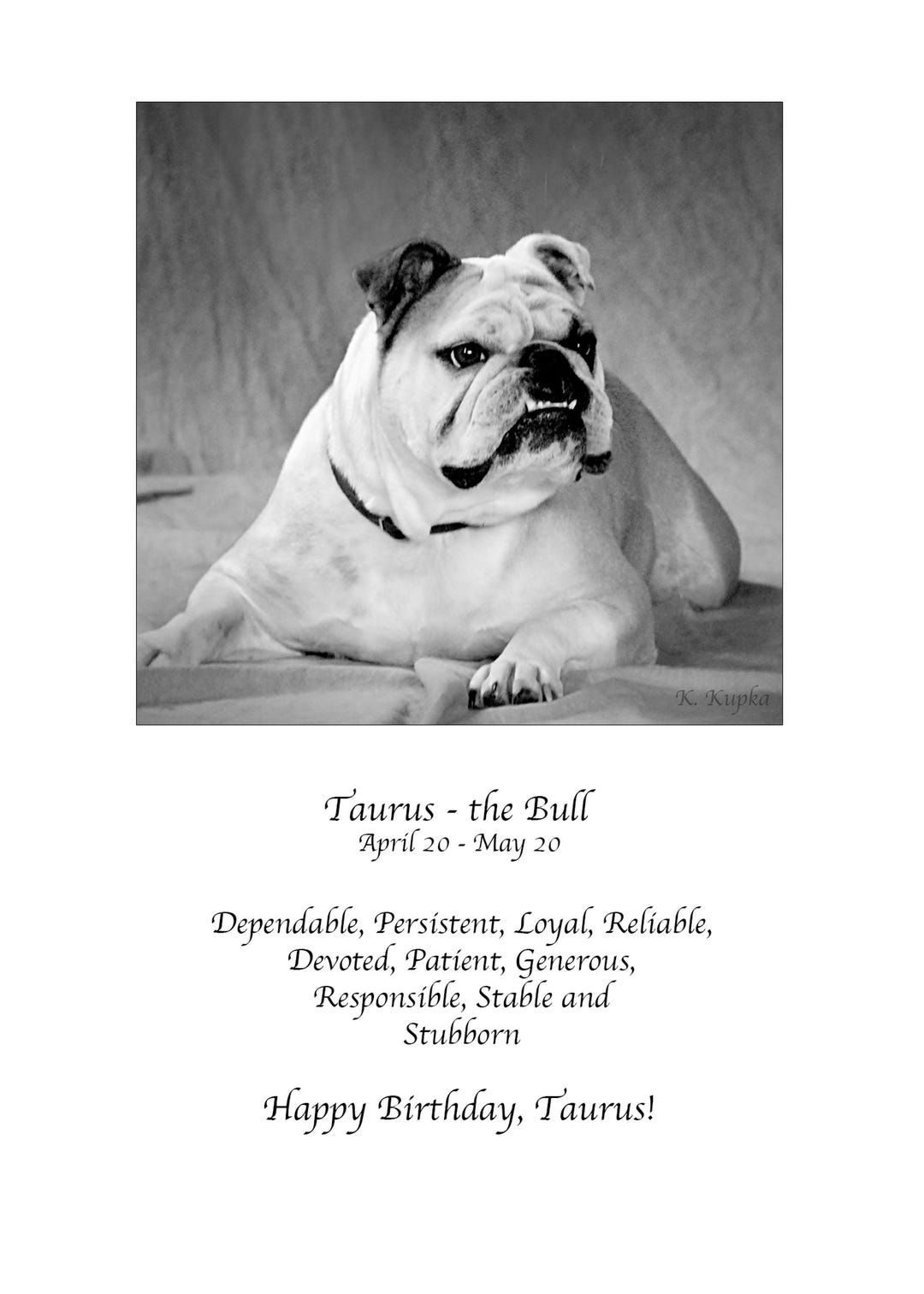Taurus Astrology Card, Zodiac Card, Bulldog, Card for Taurus, the Bull ...