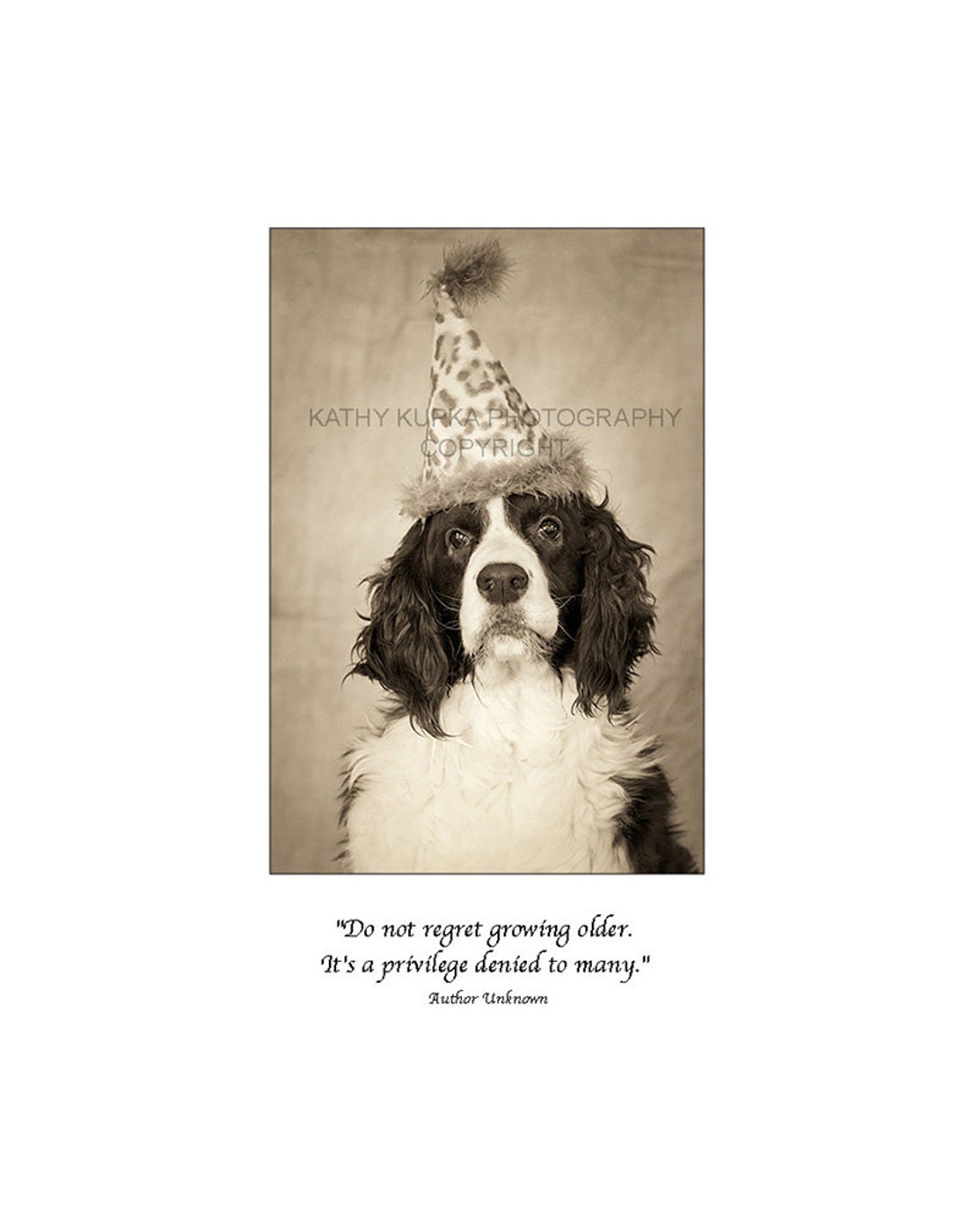 Getting Old Happy Birthday Springer Spaniel Springer - Etsy