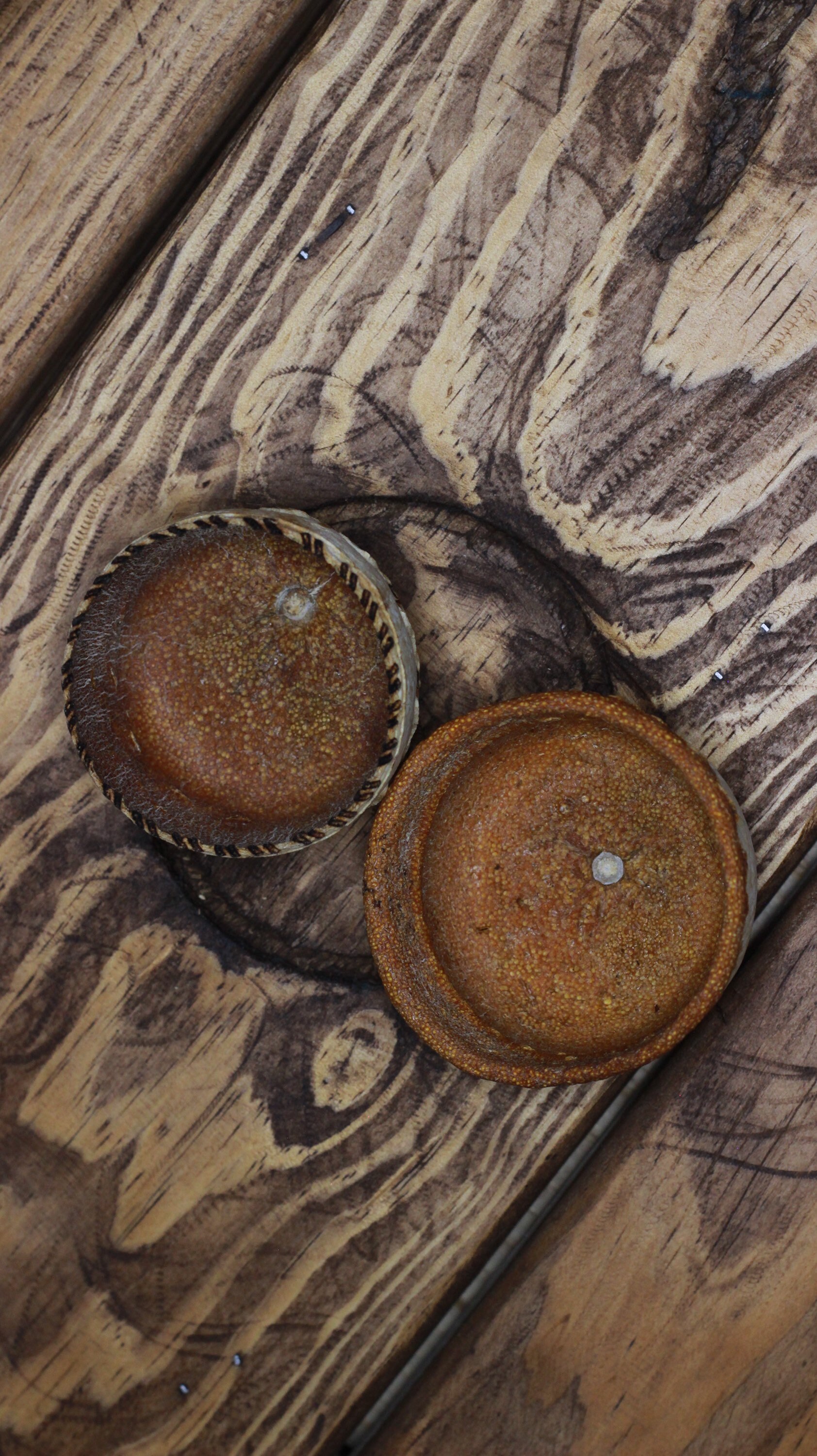 Nature Inspired, Decorative Box, Gift Box, Trinket Box. Medium Ladybug ...