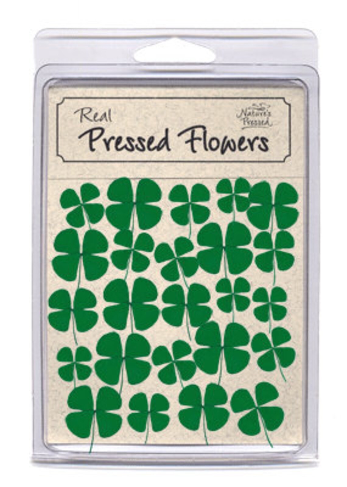 Four-leaf Clover 24 Count - Etsy