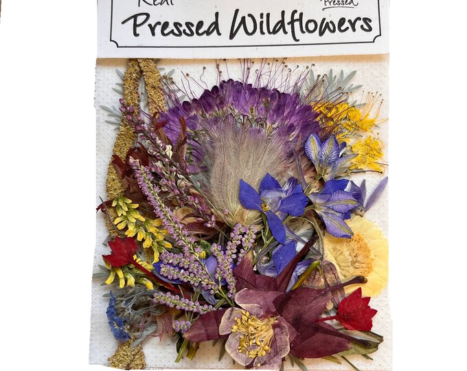 Wildflower Collage 20 Count - Etsy