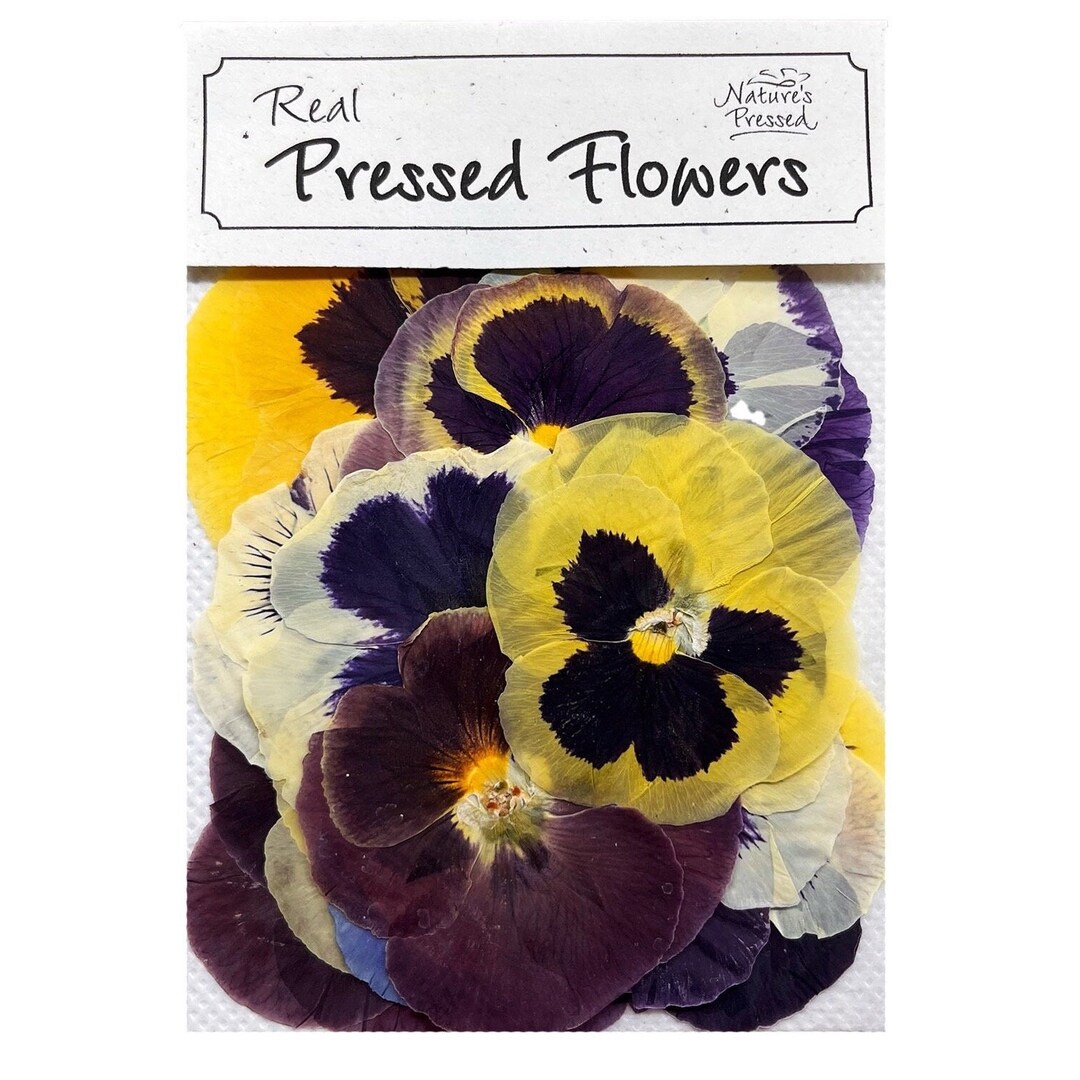 Pansy Assorted edible 16 Flowers - Etsy